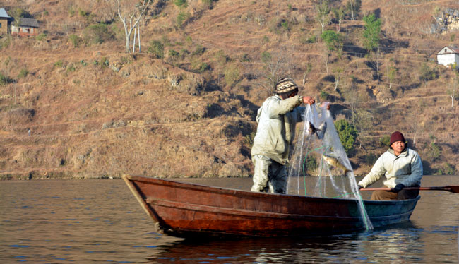 स्वादिला माछाको पहिचान जोगाउँदै कुलेखानी – Online Khabar