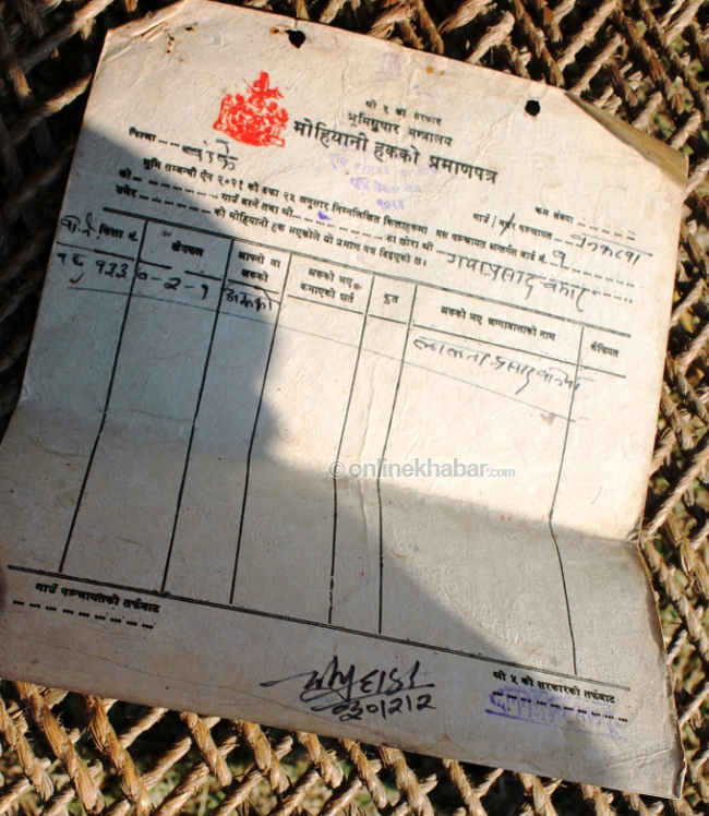 जमीन जोत्दै पुस्तौ बित्यो, धनीपूर्जाको ठाँउमा तारेकको पूर्जामात्रै ...