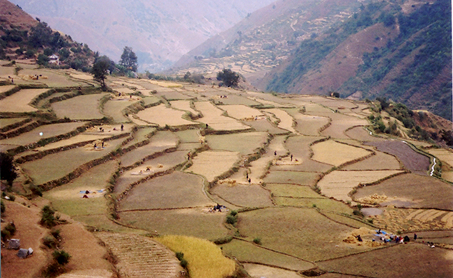 मान्ठादेखि मान्ठा डराउन्या जुग – Online Khabar