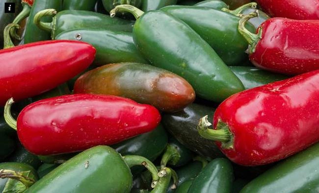 खुर्सानी सेवनले बचाउँछ अकाल मृत्युबाट – Online Khabar