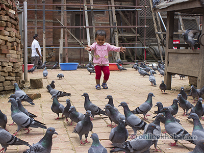 कुन पहिला उड्ला ? – Online Khabar