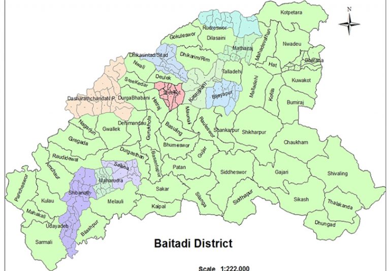 बैतडीको चुनावी सरगर्मीः दाजुभाइ अध्यक्षको चुनावी प्रतिस्पर्धामा ...