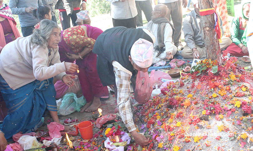 गुल्मीको गौशालामा सामूहिक गाई पूजा (तस्वीरसहित) – Online Khabar