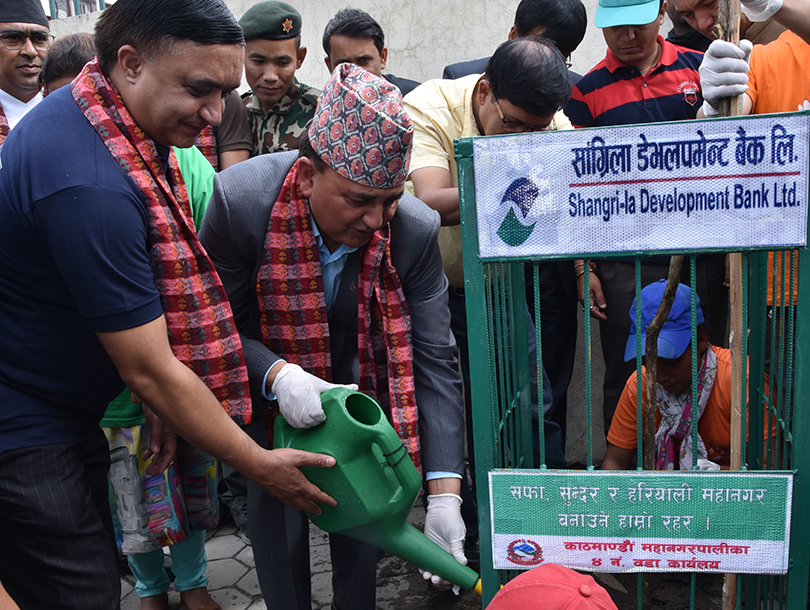 साँगि्रला डेभलपमेन्ट बैंकको वृक्षारोपण कार्यक्रम – Online Khabar