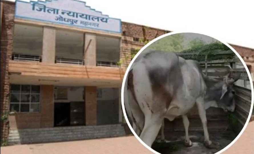 जब इजलासमा गाईलाई उभ्याएर न्यायाधीशले फैसला सुनाए… – Online Khabar