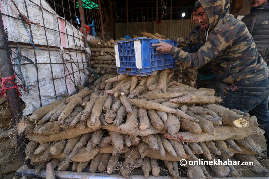 माघे संक्रान्तिको खान्की : बहुउपयोगी तरुल – Online Khabar